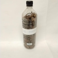 Agbo Jedi (1 Bottle) - Etsy UK