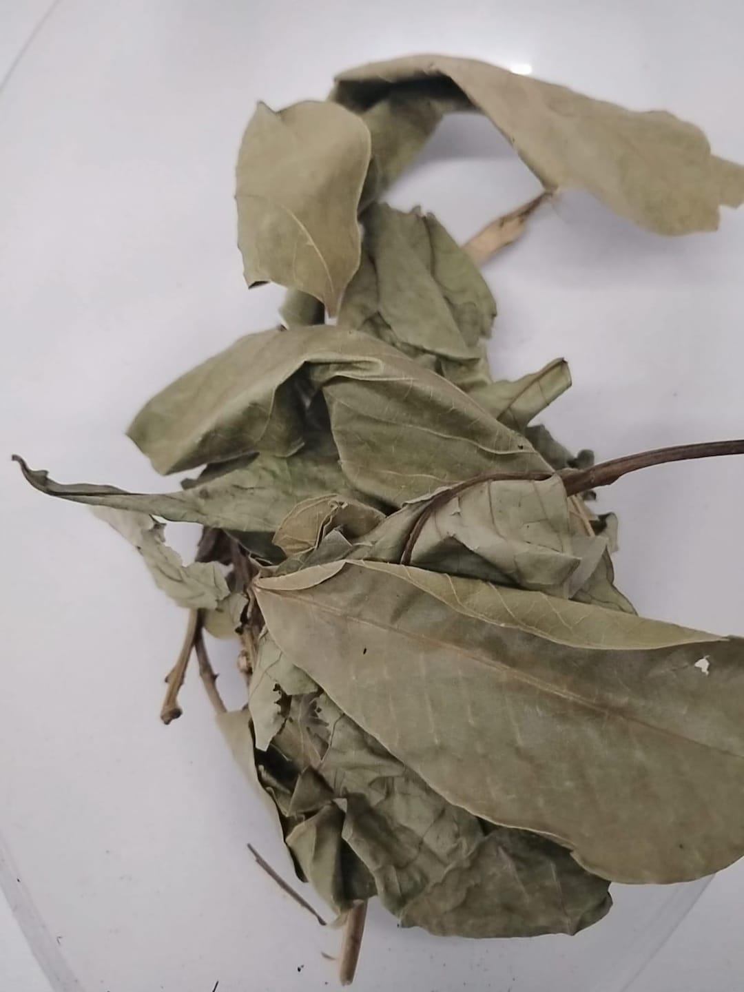 Ewe Isin/ackee Leaves - Etsy