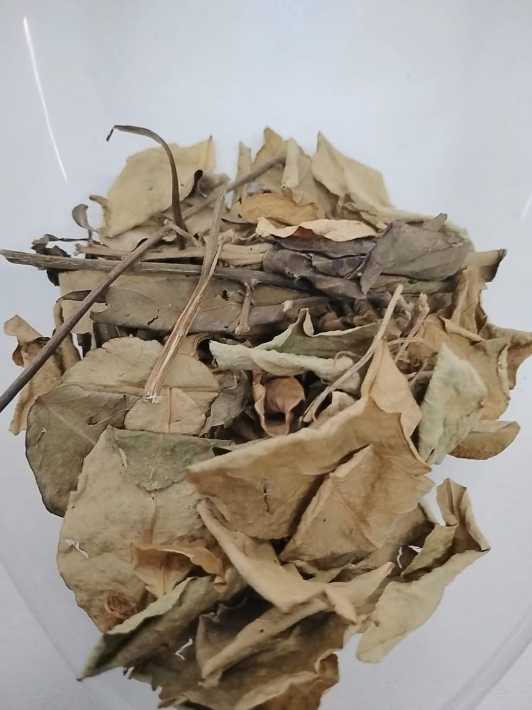 African Lime Dried Leaves/ewe Osan Wewe - Etsy