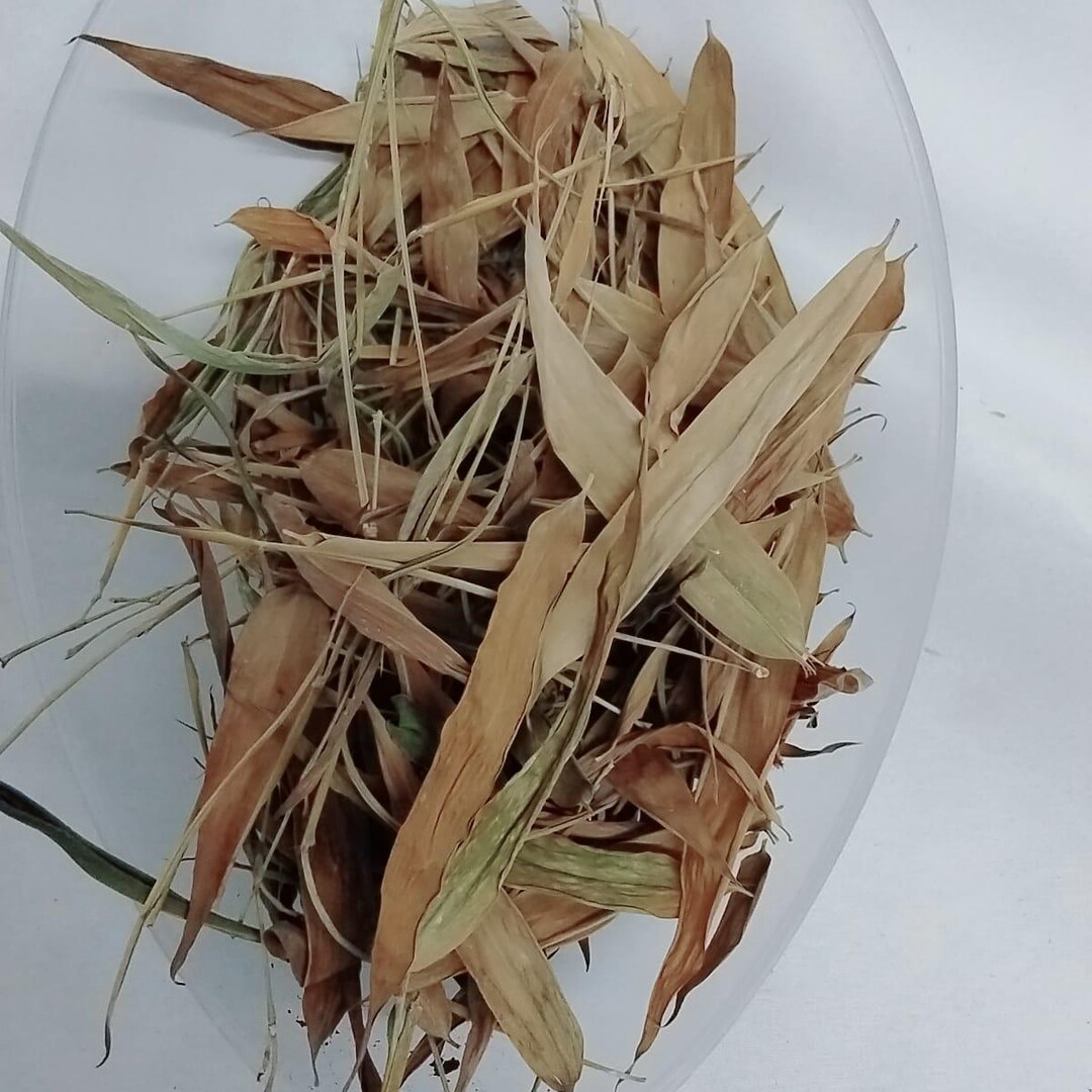 Ewe Igi Oparun/ African Dried Bamboo Tree Leaves - Etsy