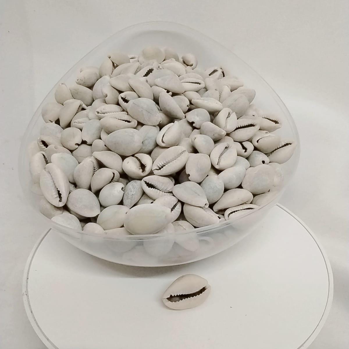 20pcs Authentic African Cowries/owo Eyo/yoruba Cowries - Etsy