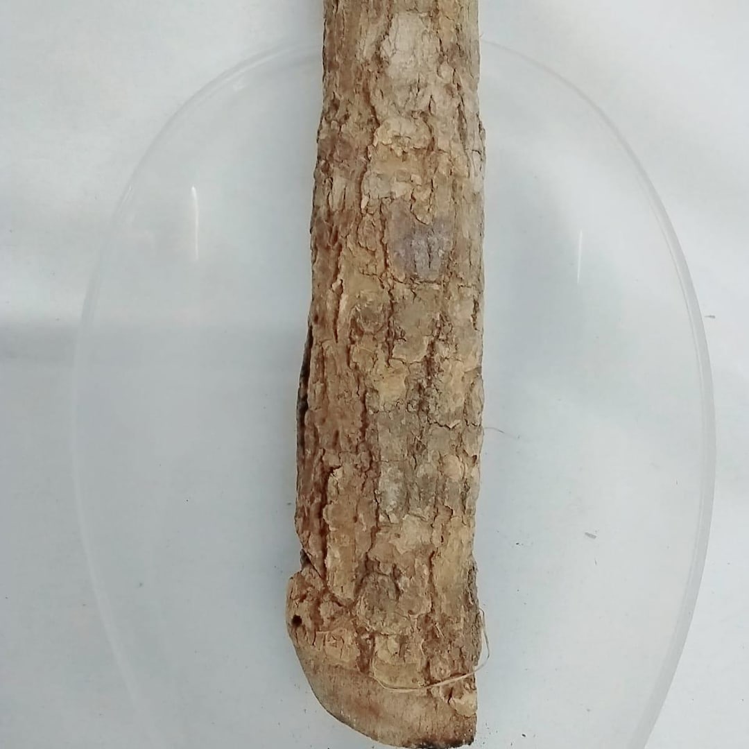 Epo Igi Akoko/african Fertility Tree Bark/aduruku Ogirisi Dried Bark ...