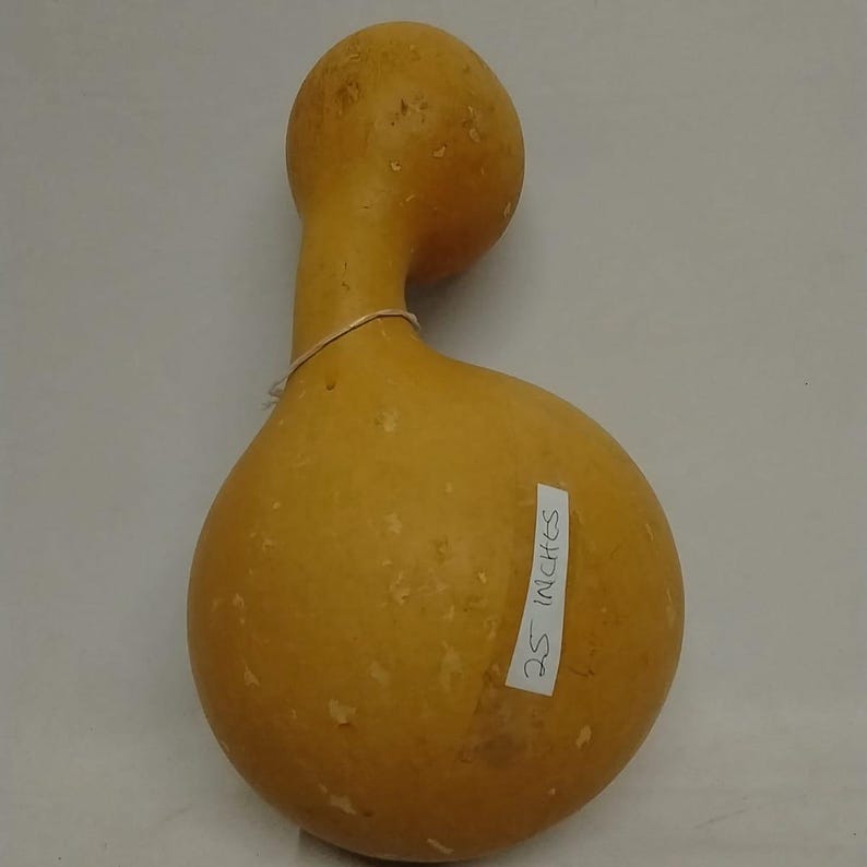 Akeregbe/african Dried Bottle Gourd/dried Vessel Gourd/agbe/long Neck ...