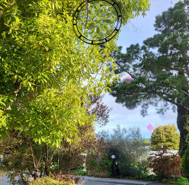 Jen’s Bird Strike Alert Alternative Window Glass Decal- Handmade ...