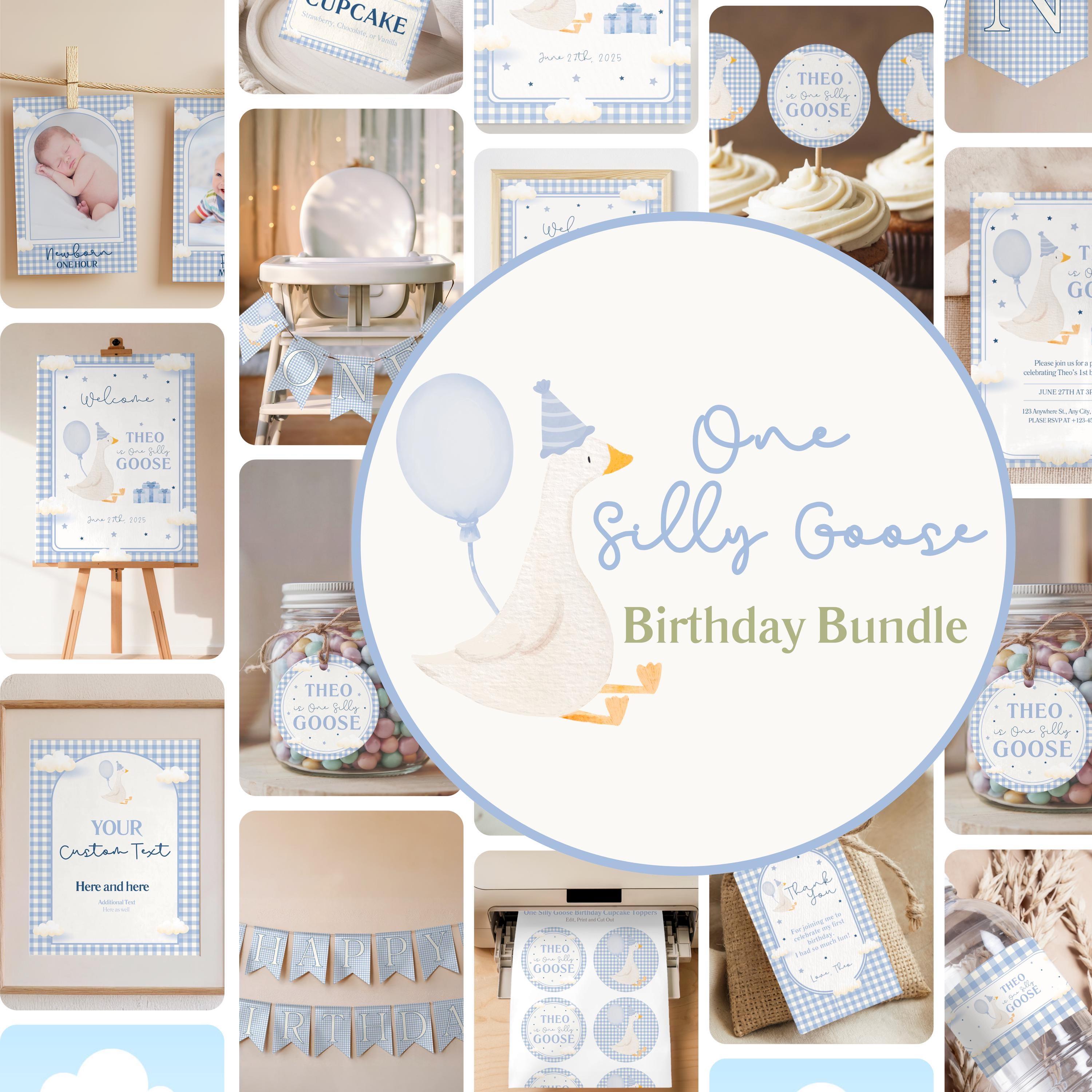 One Silly Goose First Birthday Bundle | Blue Goose Birthday Package ...