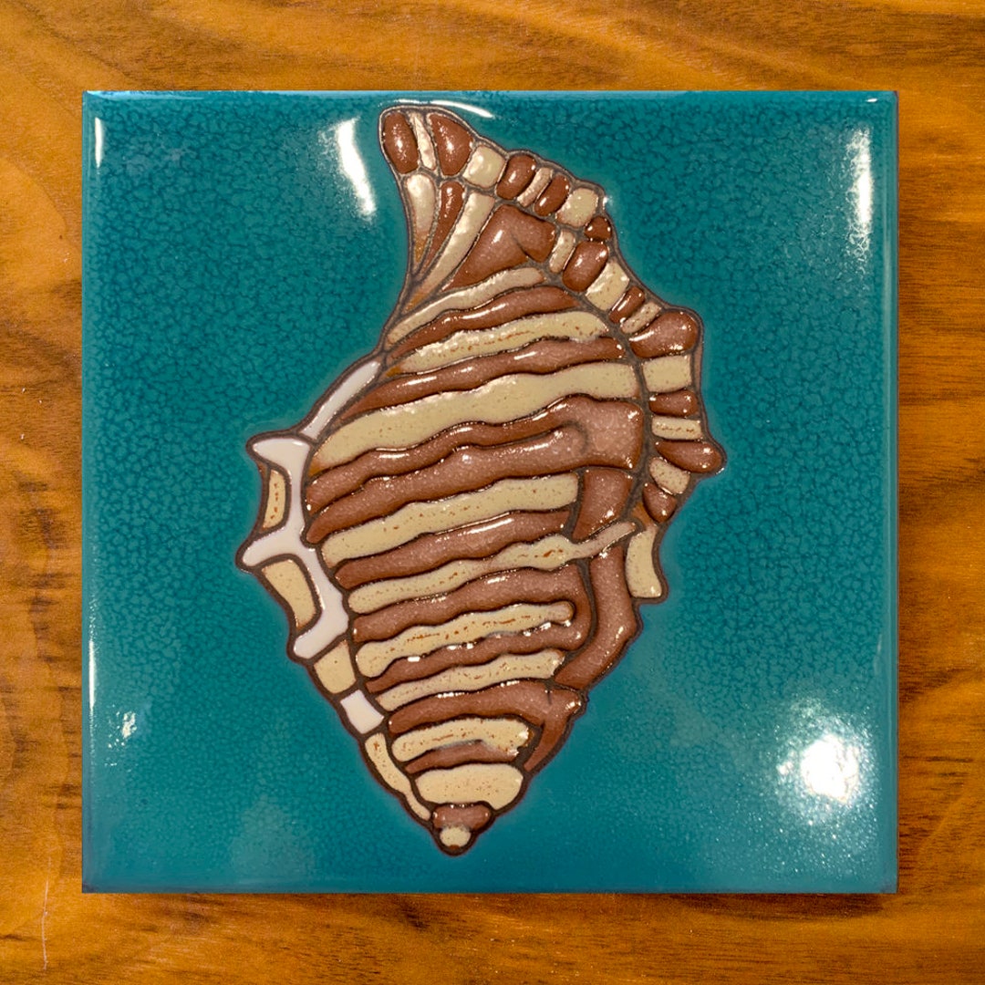 6"x6" Seashell Ceramic Tile - Etsy