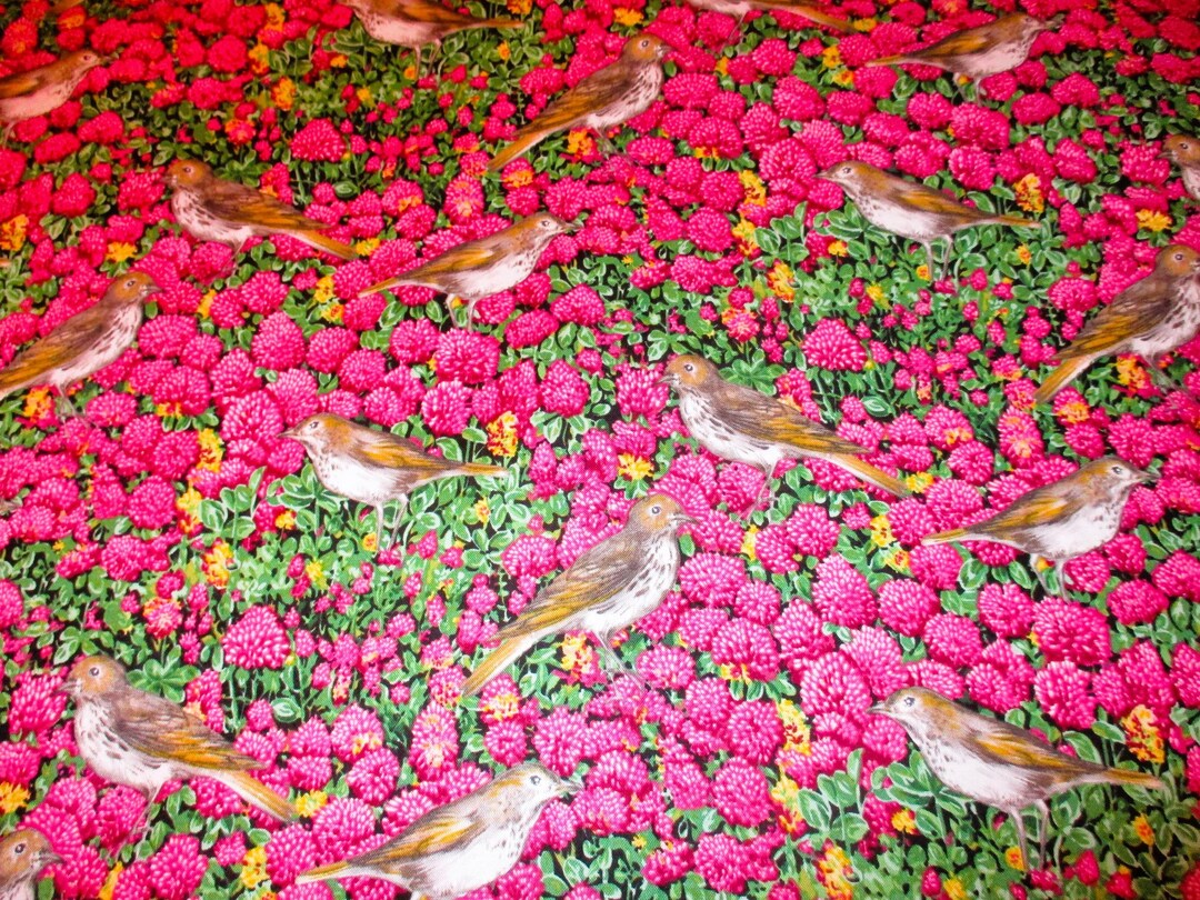 The State Birds (vermont Hermit Thrush)" by Suzan Ellis for Northcott ...