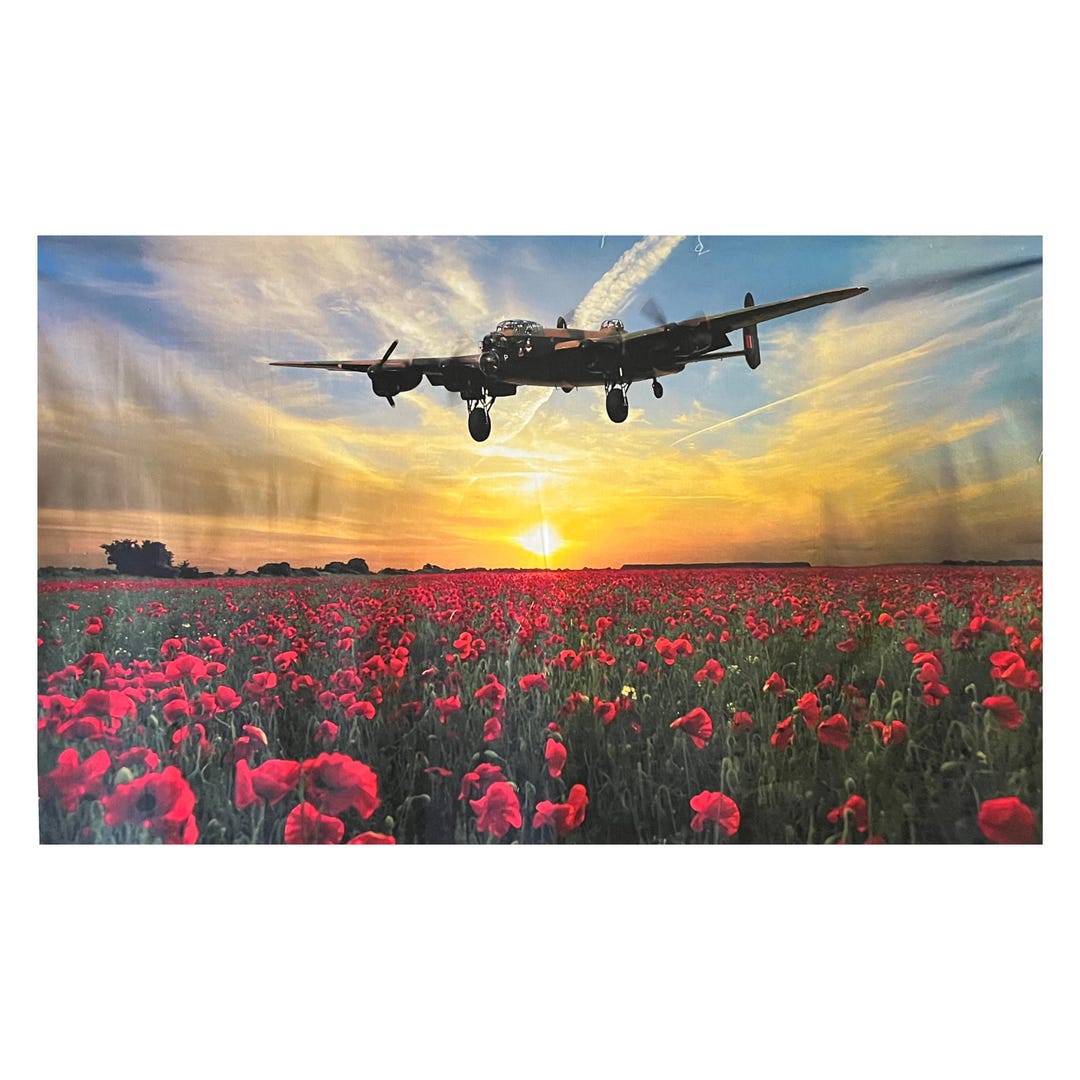 Field of the Fallen Fabric Panel 43" X44" Devonstone Collection Artwork by Hangar 7 Aviation Art ...