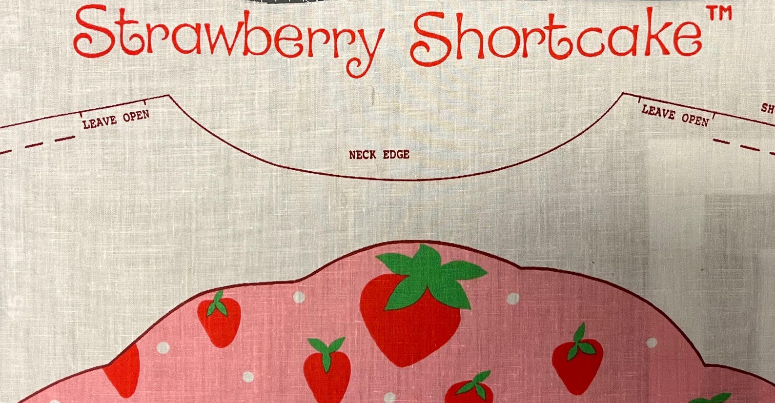 STRAWBERRY SHORTCAKE Cut and Sew Kids Tunic Apron Costume American ...