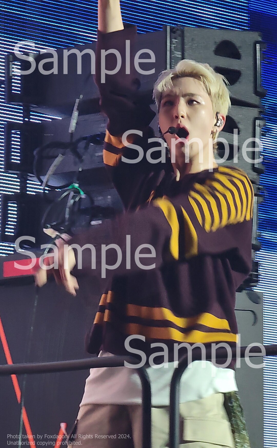 Seventeen Hoshi Digital Photocard. Right Here World Tour 2024 - Etsy