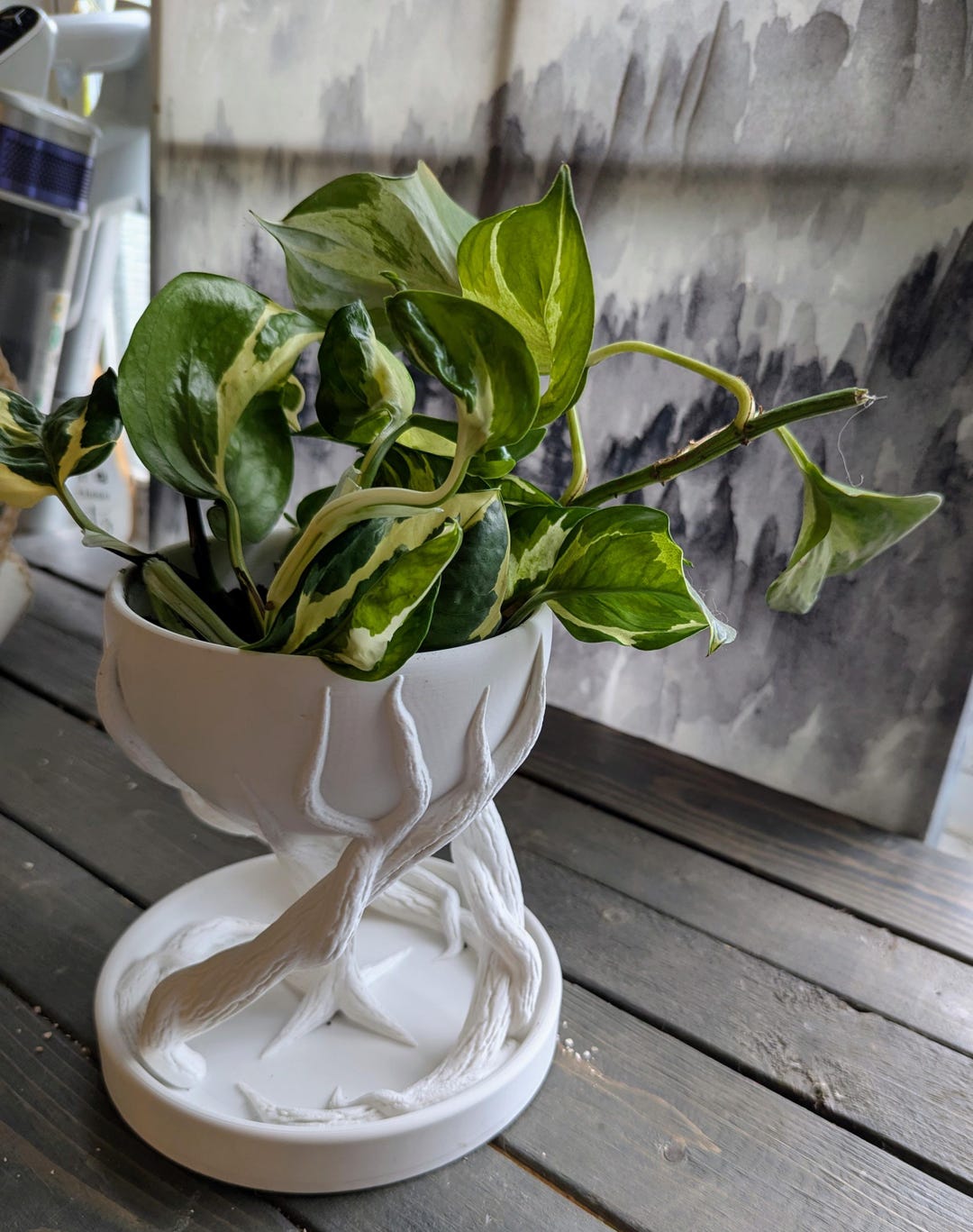 Unique Tree Root Bowl Planter Pot Special Nature Plant Gift for Him or ...