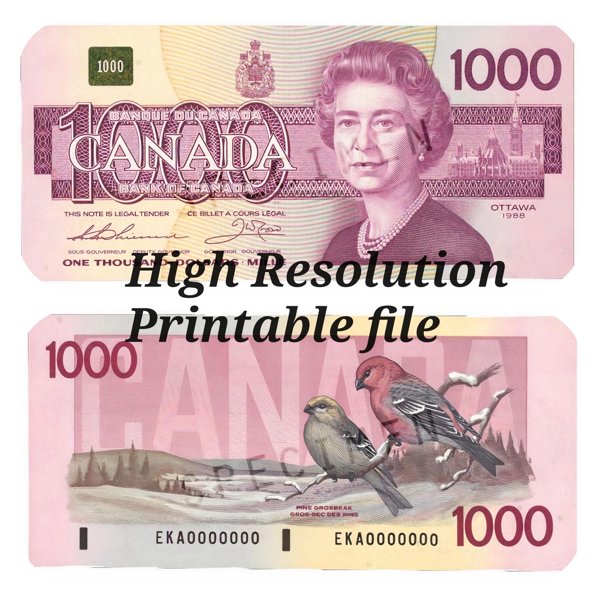 Canadian Vintage 1000 Dollar Banknote, Queen Elizabeth, Ephemera Art ...