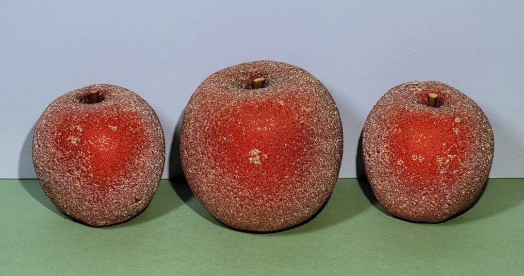 3 2x2 & 3x3 Sugared Apples Red Micro Bead Ornamental - Etsy
