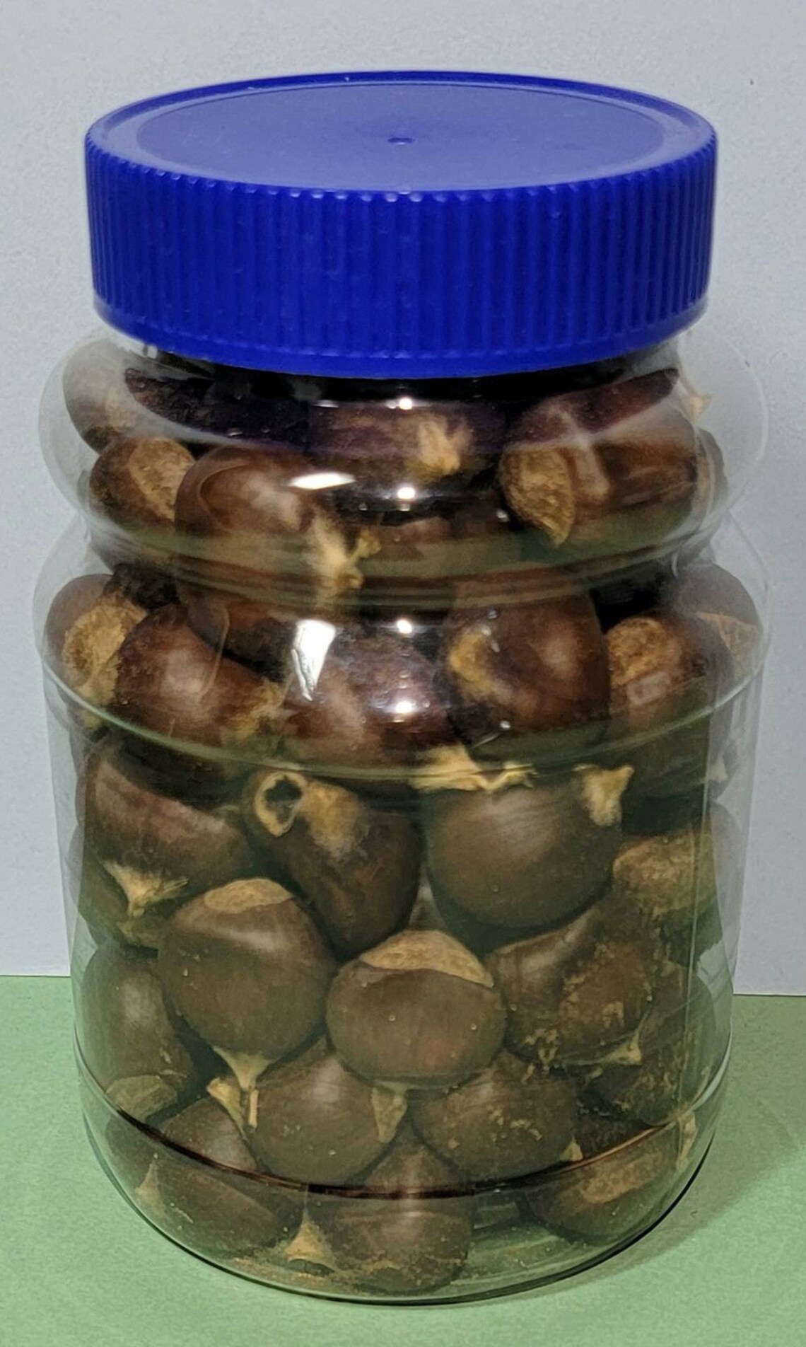 11 Oz. Natural Real Raw Chestnuts W/shell DIY Eco Craft - Etsy