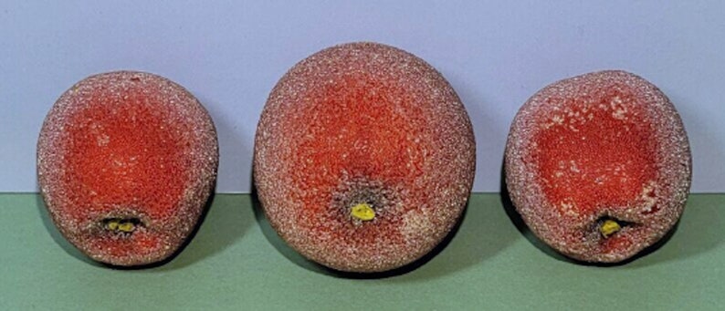 3, 2x2 & 3x3 Sugared Apples Red Micro Bead Ornamental Fruit/basket Bowl ...