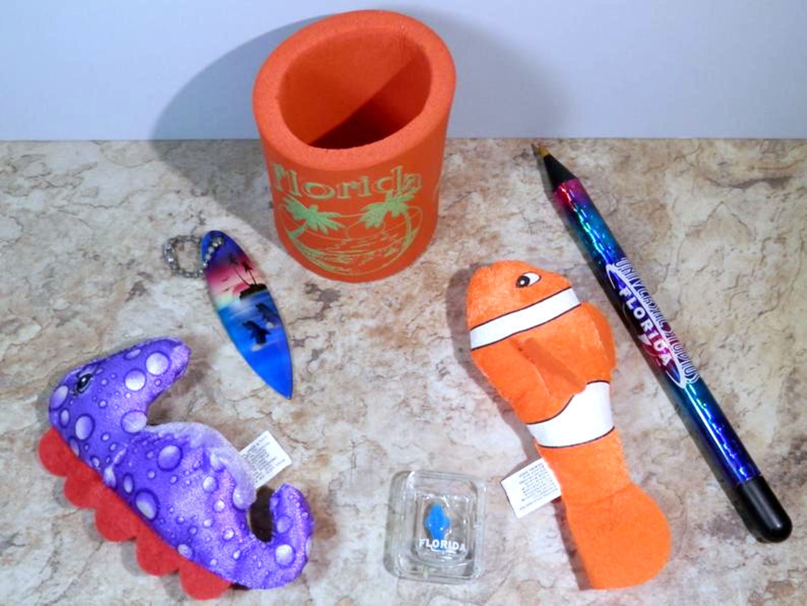 Florida Instant Souvenir Collection: Pop Koozie, Fridge Magnet ...