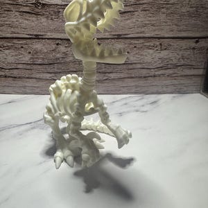 3D Printed Articulated Rainbow Raptor Skeleton: Flexible Dinosaur Toy ...