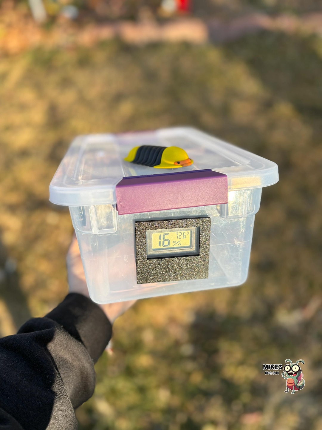Latching 6-quart Isopod Enclosure (complete Setup) - Etsy