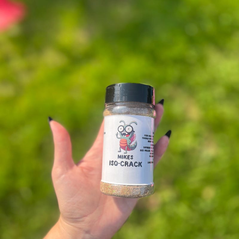 Springtails Living - Etsy UK