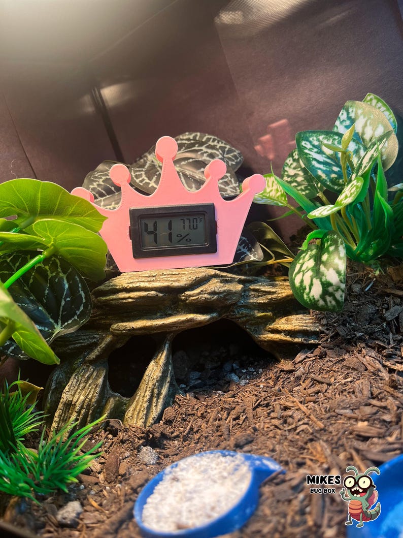 Princess Crown Temp & Humidity Gauge – Gauge Included - Etsy