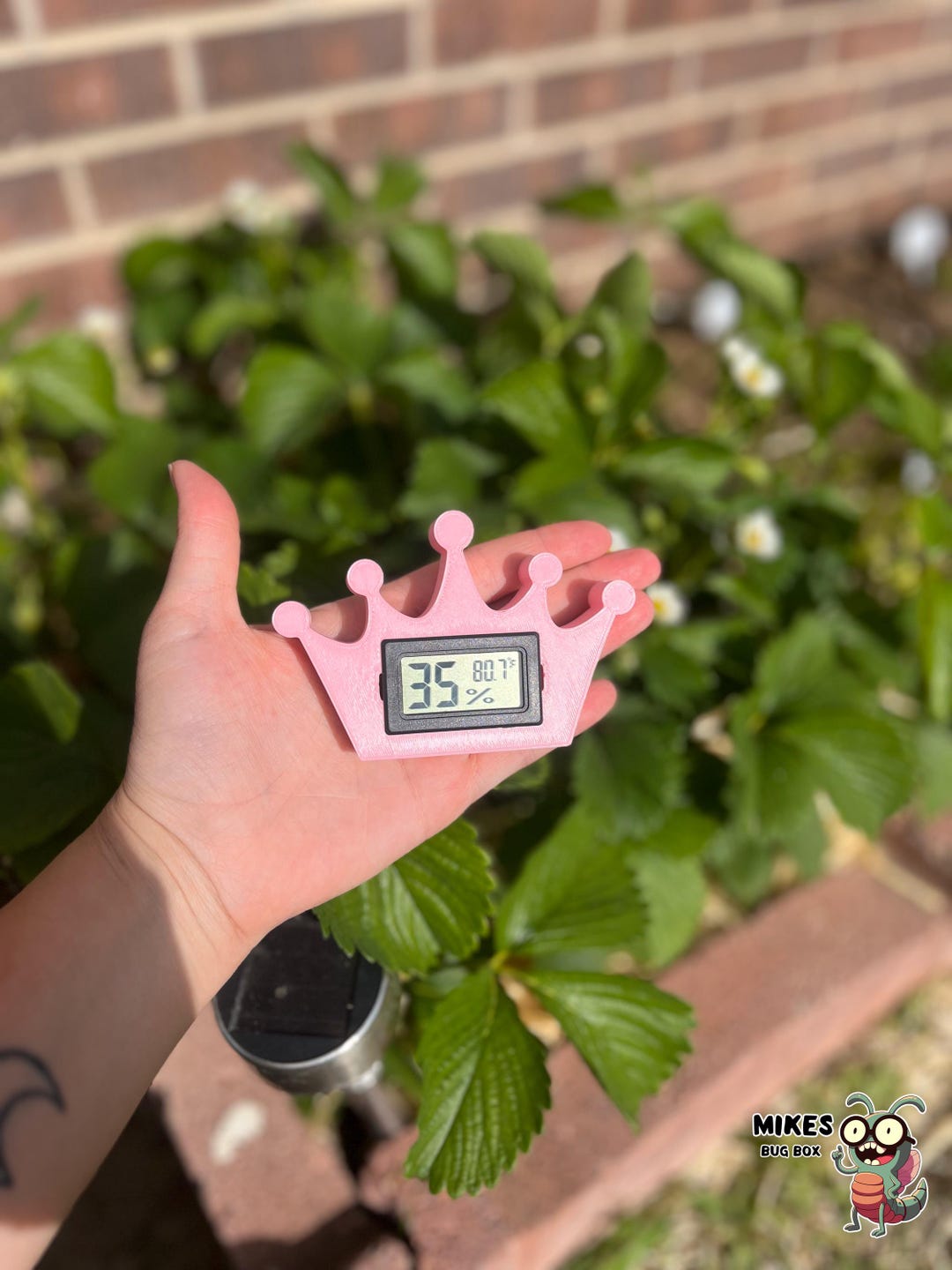 Princess Crown Temp & Humidity Gauge – Gauge Included - Etsy
