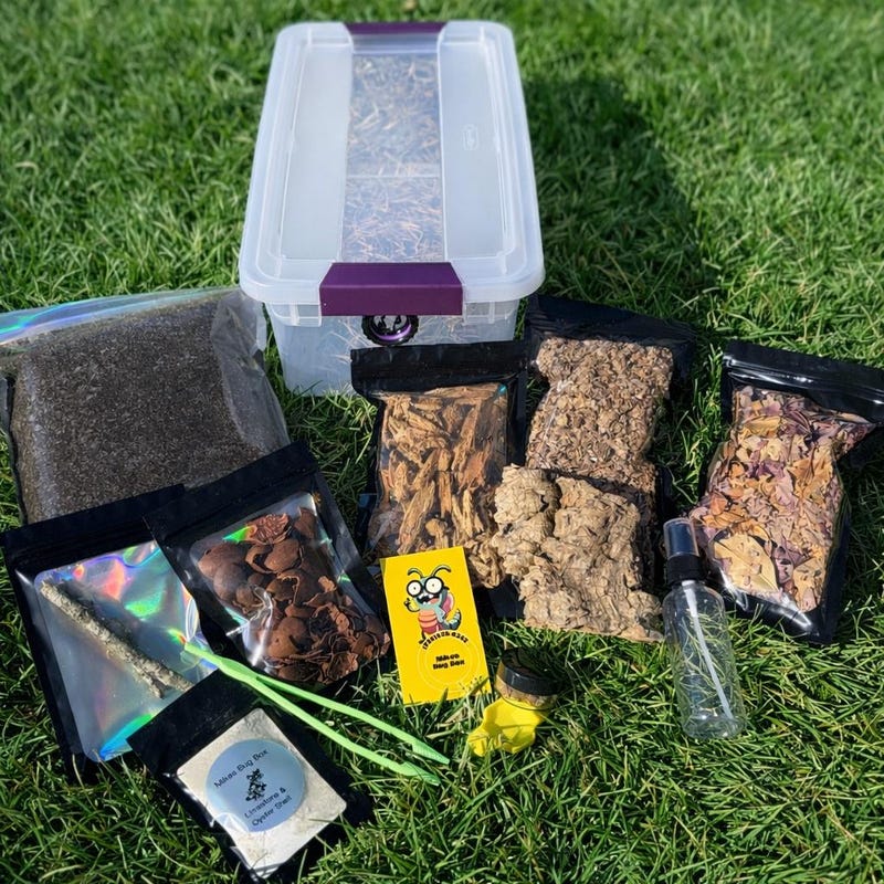 Millipede Enclosures - Etsy