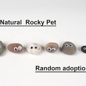 Rocky Pet Stone: DIY Anxiety Relief Desk Buddy With Mini Picnic - Etsy
