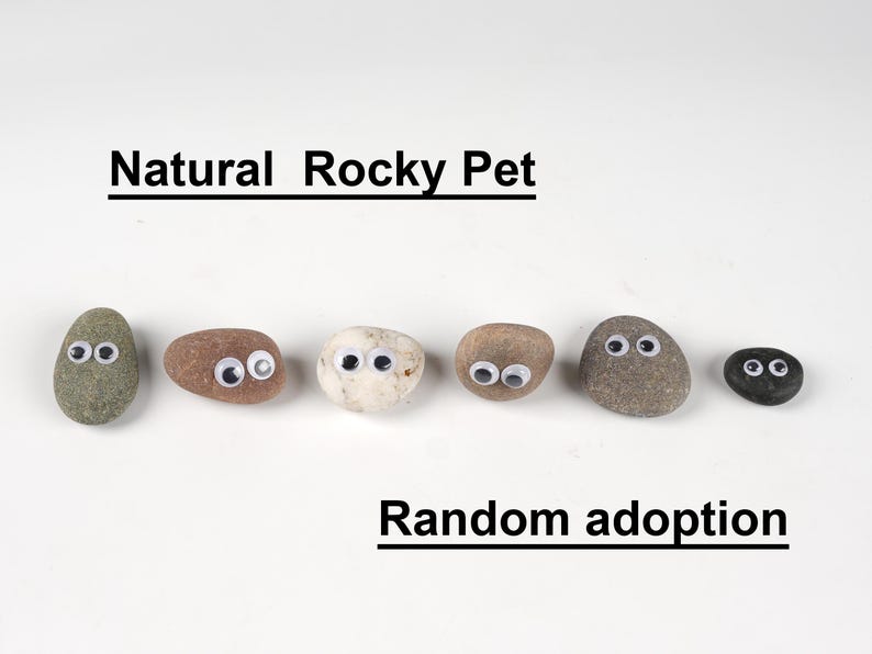 Rocky Pet Stone: DIY Anxiety Relief Desk Buddy With Mini Picnic - Etsy