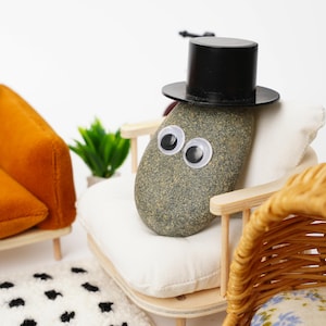 Rocky Pet Stone: DIY Anxiety Relief Desk Buddy With Mini Picnic - Etsy