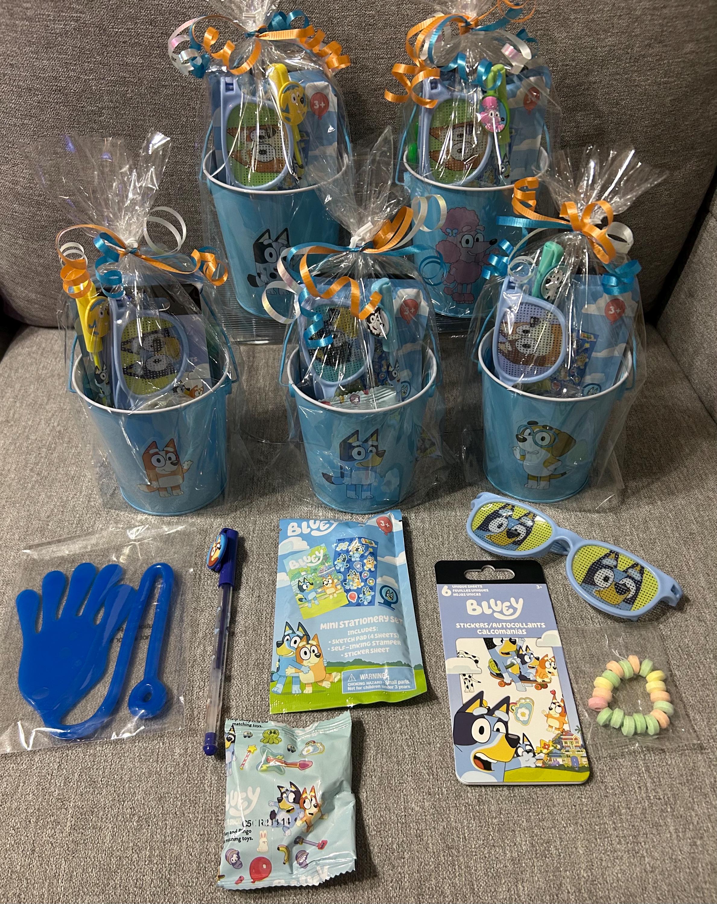 Bluey Prefilled Party Favors! - Etsy