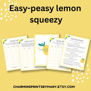 Summer Lemonade Stand Planner for Kids, Printable Kid's Business ...
