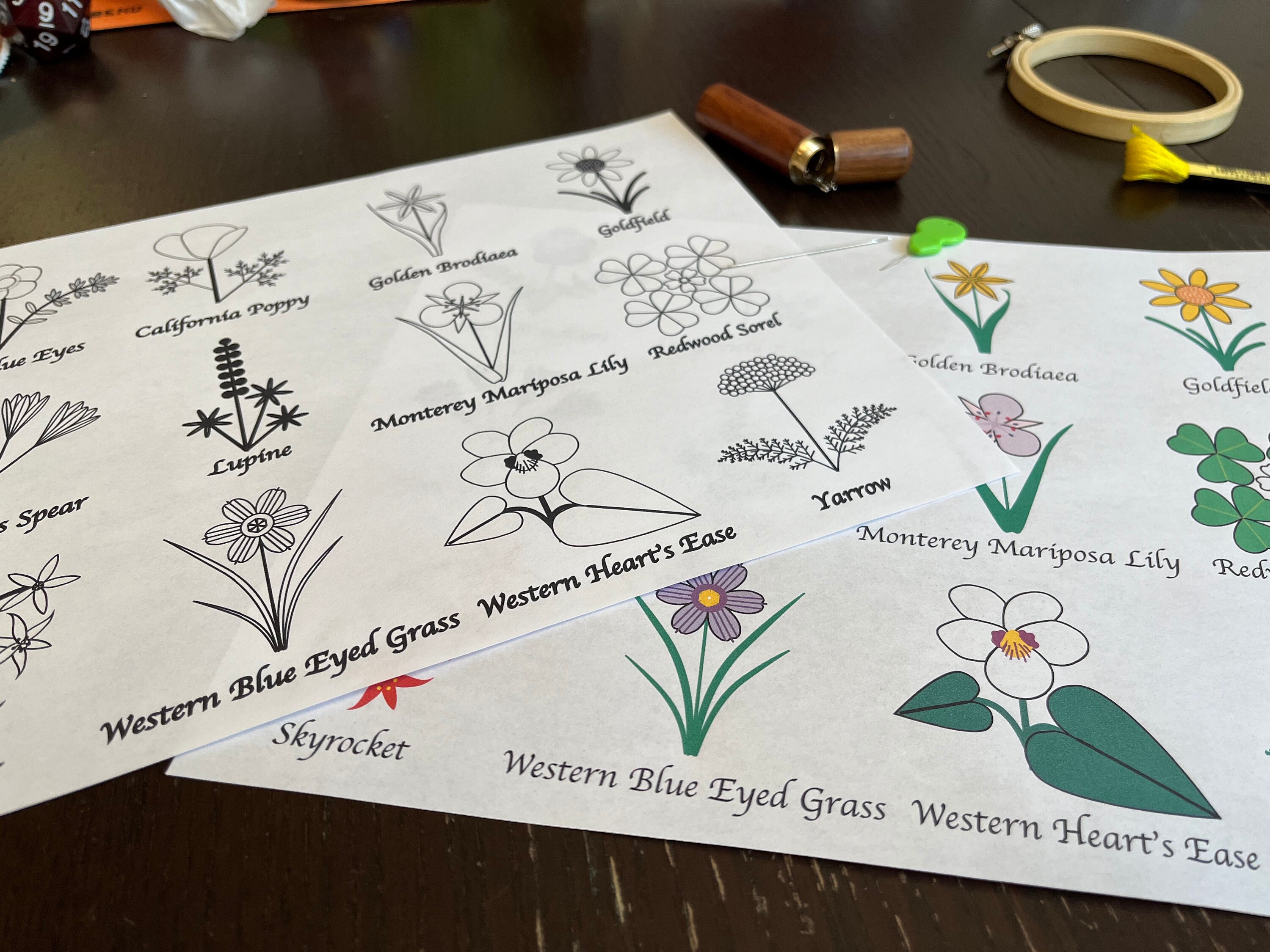 California Native Wildflowers Embroidery Patterns Collection - Etsy