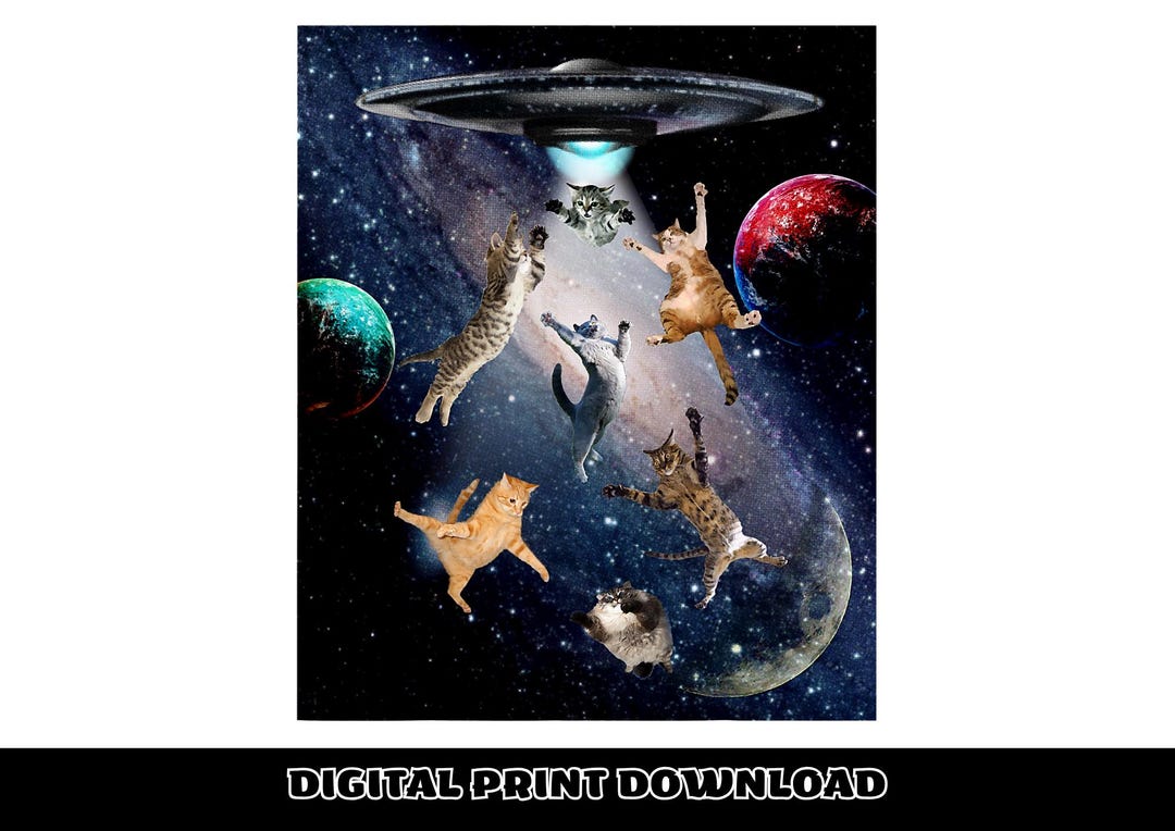 File PNG UFO Cat Abduction | Funny Space Cat T-shirt Design | Alien ...