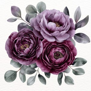 Watercolor Purple Peony Clipart: Floral PNG Bundle (digital Download ...