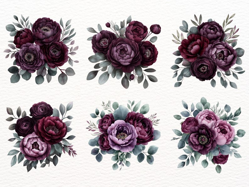 Watercolor Purple Peony Clipart: Floral PNG Bundle (digital Download ...