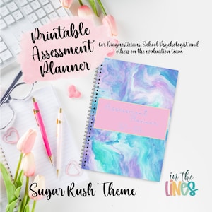 2025-2026 Printable Assessment Planner | Sugar Rush Theme | PERSONAL ...