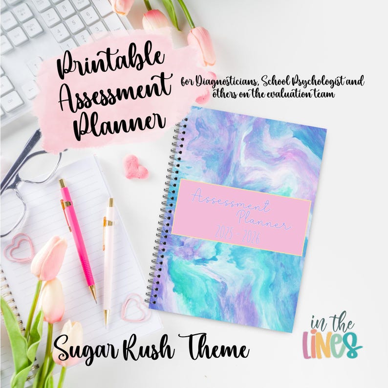 2025-2026 Printable Assessment Planner | Sugar Rush Theme | PERSONAL ...