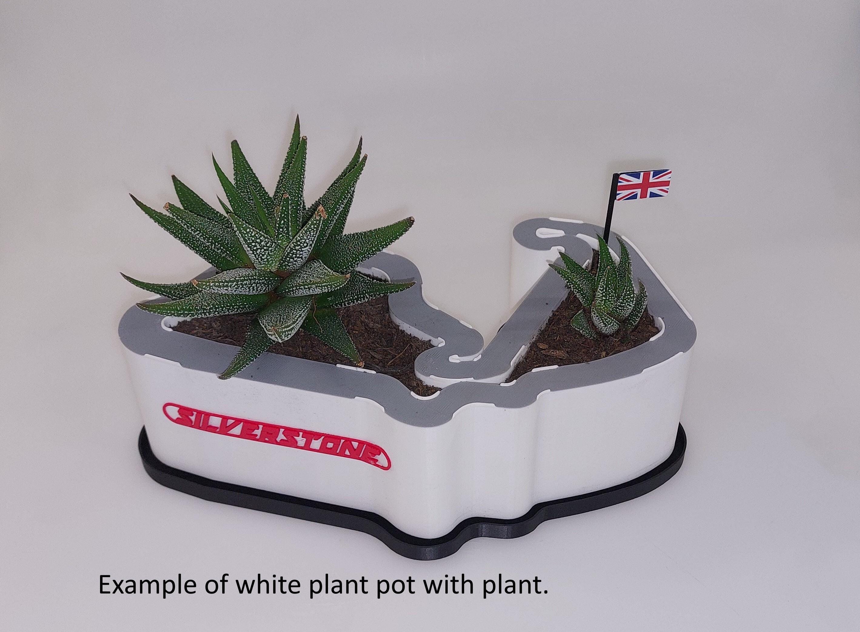 Black Edition Silverstone Race Track Planter Indoor Plant Pot With ...