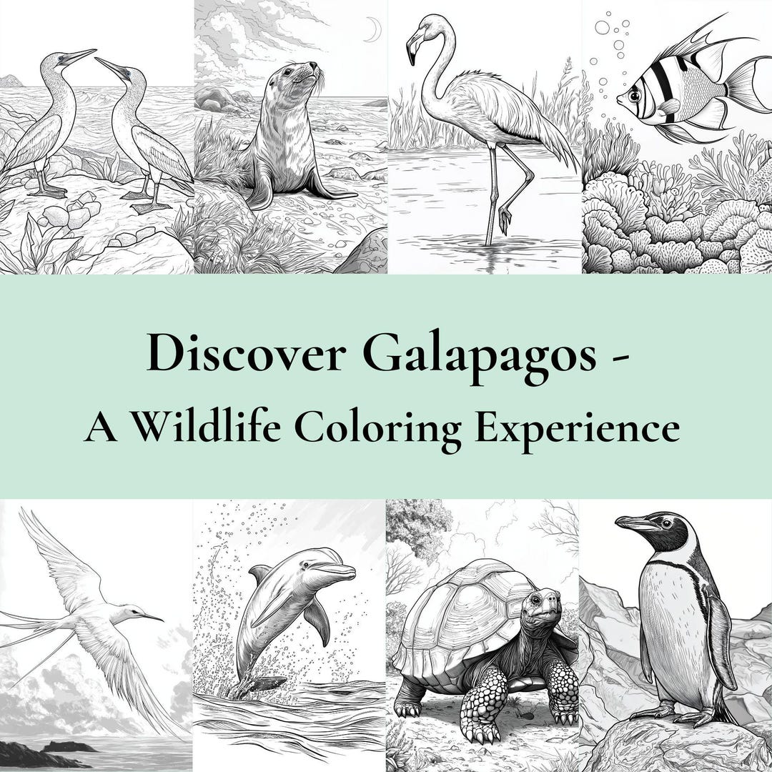 Discover Galapagos - A Wildlife Coloring Experience - Etsy