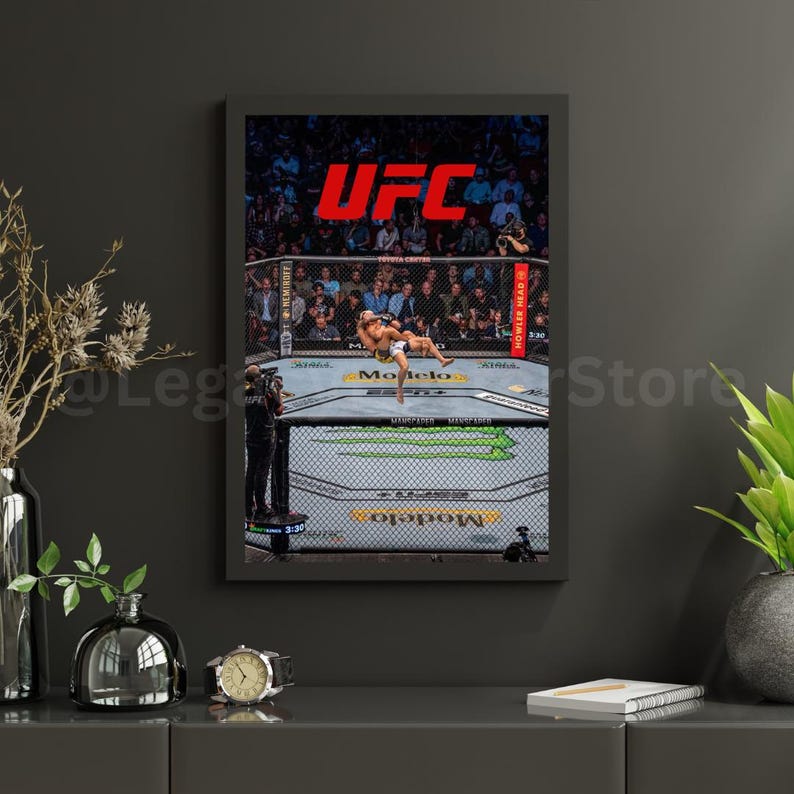 UFC Action Poster | Ultimate Fighting Championship Wall Art | Sports ...