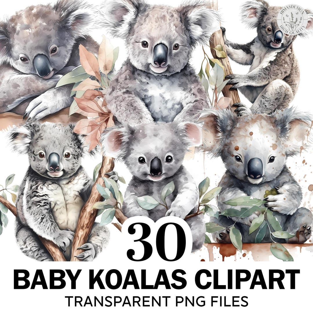 30+ Watercolor Baby Koalas Clipart Bundle, Cute Koala PNG Clipart ...