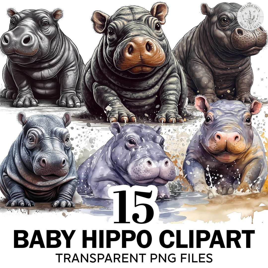 15+ Watercolor Baby Hippo Clipart Bundle, Cute Hippo PNG Clipart ...