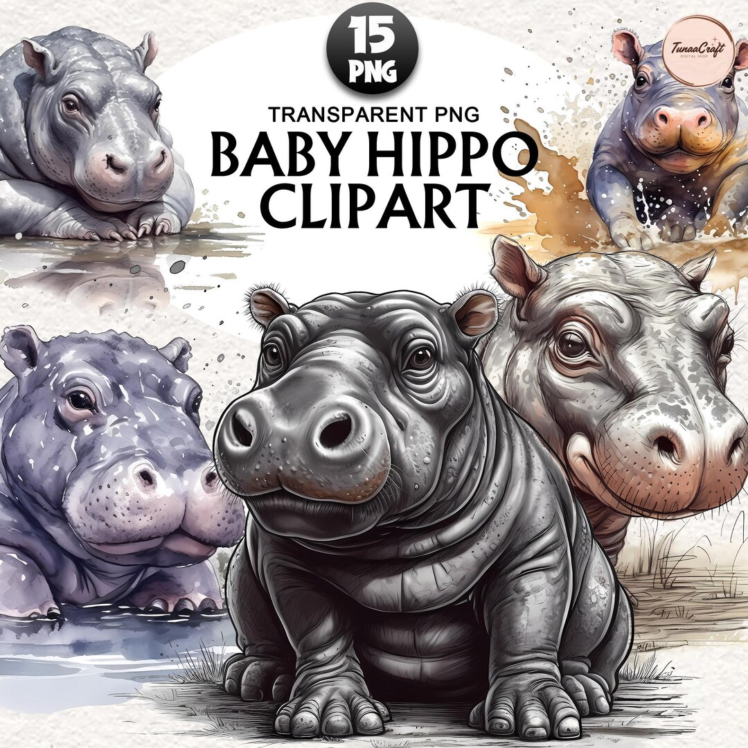 15+ Watercolor Baby Hippo Clipart Bundle PNG, Hippo Sleeping Clipart ...