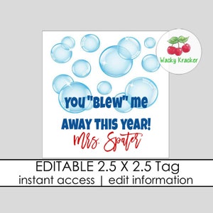 Bubbles Gift Tags, Appreciation Tag, Editable Gift Tag Template, You ...