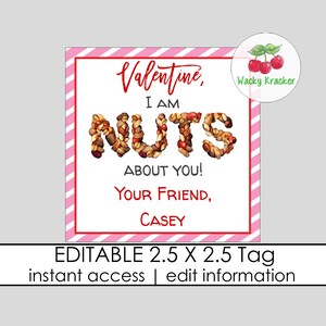 Nuts About You Valentine Favor Tags, Happy Valentine's Gift Tag, Square ...