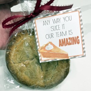 Any Way You Slice It Our Team is Amazing, Appreciation Gift Tags ...