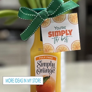 Lemon Squeezy Appreciation Tags, Great Teacher, Thank You School Tags ...