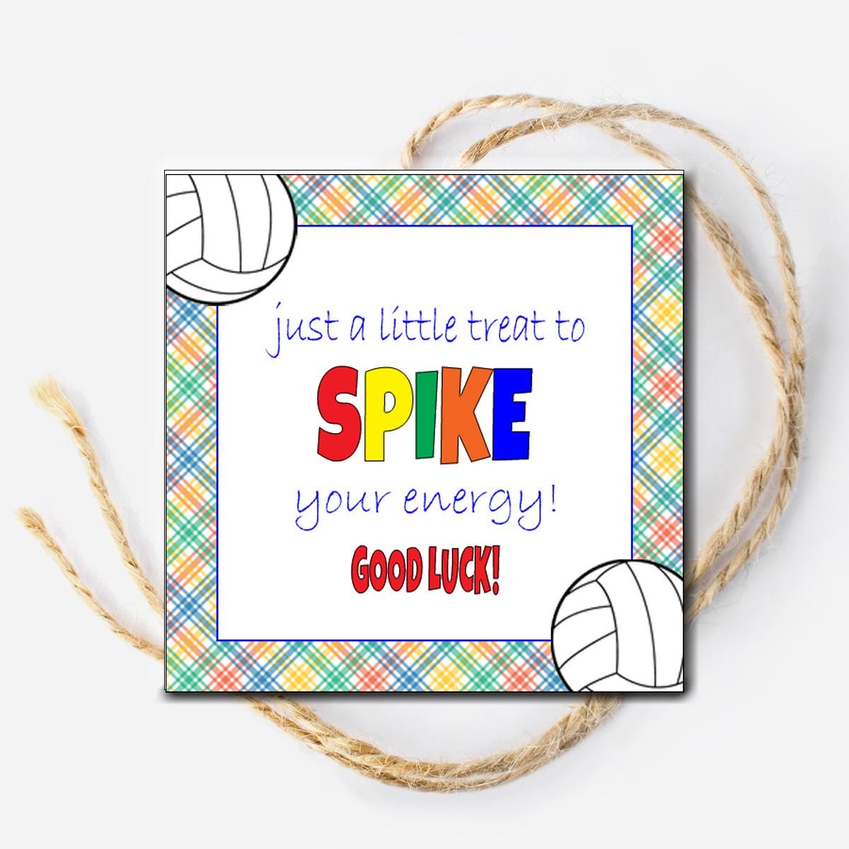 Printable Volleyball Treat Tag, Candy Tag for Volleyball, Good Luck ...