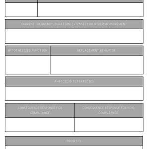 IEP and BIP Overview Template | Editable Special Education Snapshot - Etsy