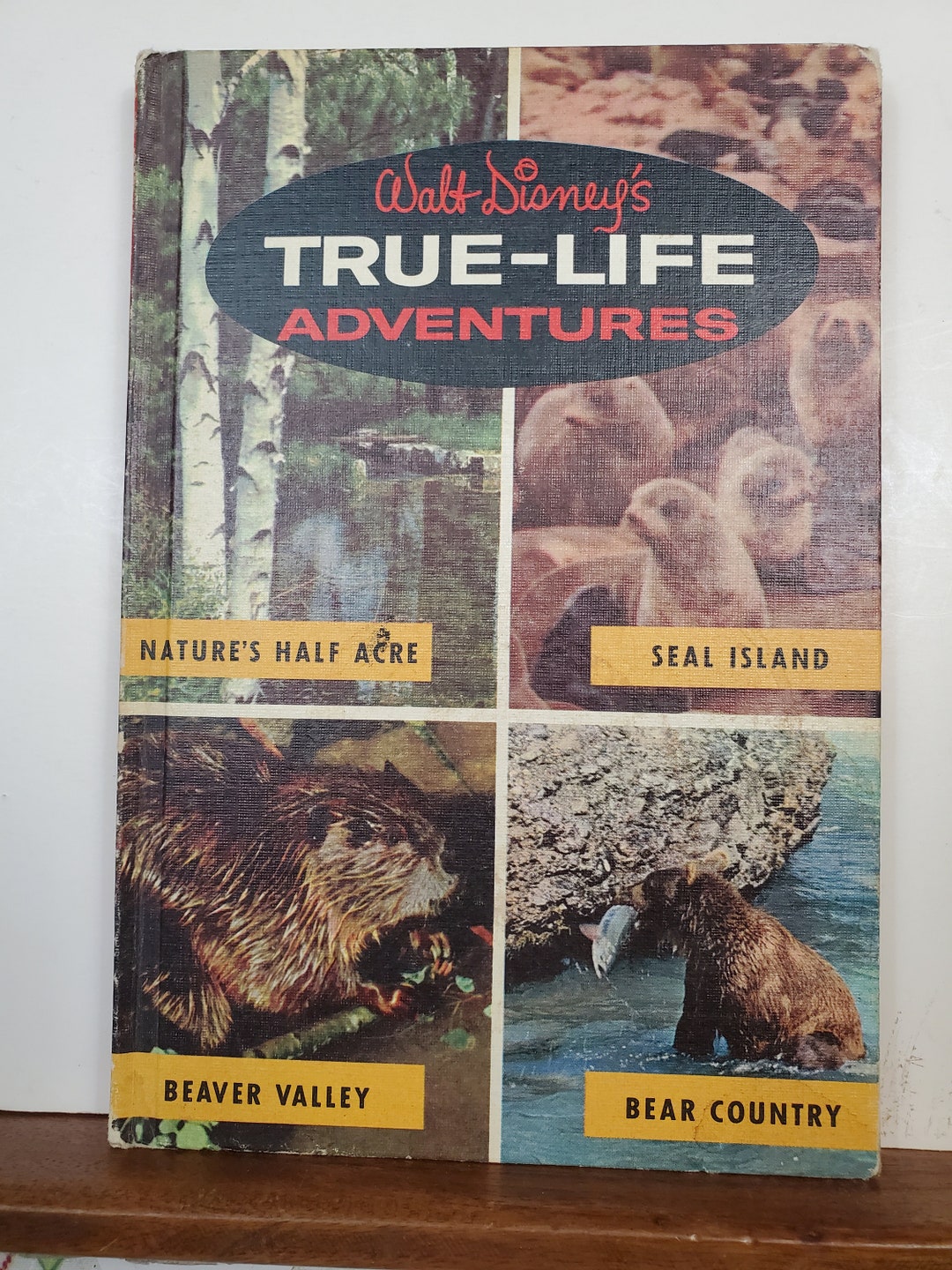 Walt Disney's True Life Adventures, Childrens Books, Juvenile Books ...